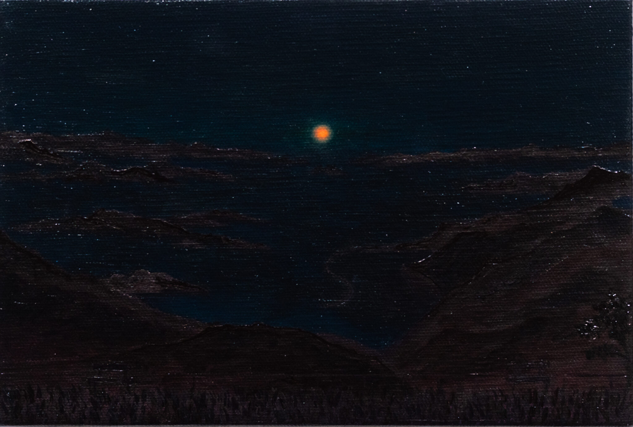 Bonny Wong Hiu Ching